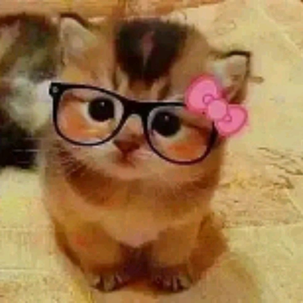 Иконка канала _💭Милана •° Хом  🥥🦦🐾