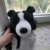 Иконка канала ☆~Doglife~PDB~Chasper~☆
