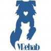 Иконка канала vrehab_academy