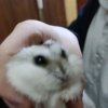 Иконка канала Halid and valid
