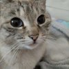 Иконка канала channel78556350