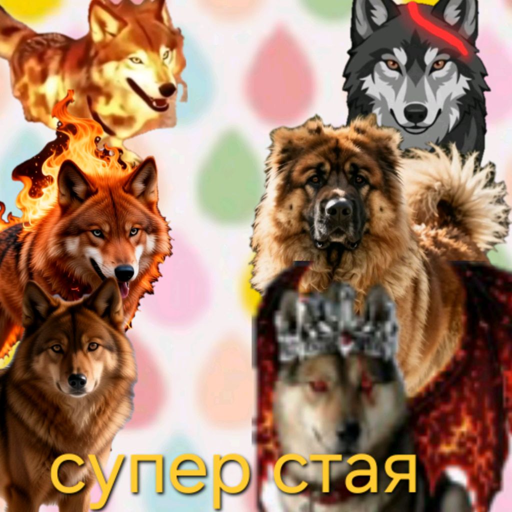 Иконка канала Супер Стая