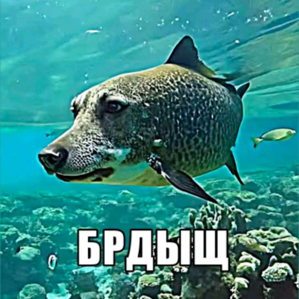 Иконка канала Брдыщ