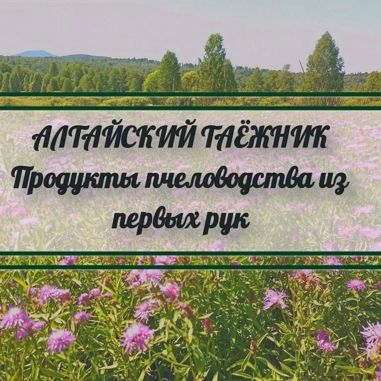 Иконка канала Алтайский медовый таёжник