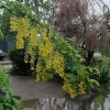 Иконка канала ,, В гостях у Лилии "