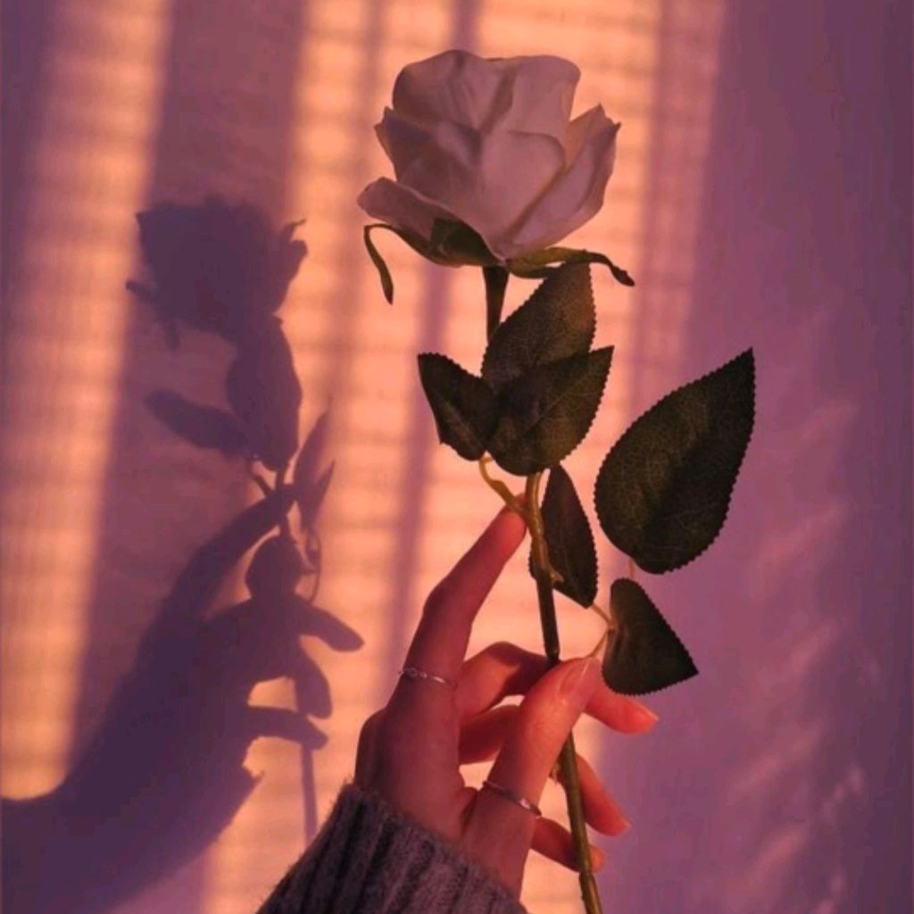 Иконка канала Ariana Beautiful
