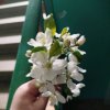 Иконка канала СуперВика