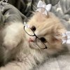 Иконка канала Никси❤️