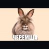 Иконка канала 🫪🫸