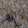 Иконка канала В поиске сокровищ клада