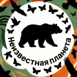 Иконка канала Неизвестная Планета