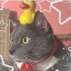 Иконка канала лотковый//