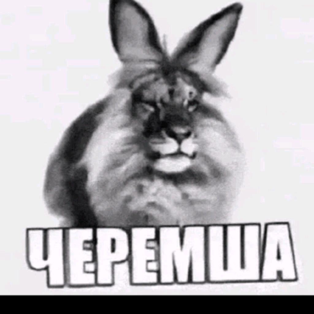 Иконка канала ✔️Che4remsha✔️