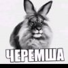 Иконка канала ✔️Che4remsha✔️