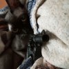 Иконка канала Денис И Коля Ч А Э С 2