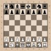Иконка канала World Chess Championship Matches
