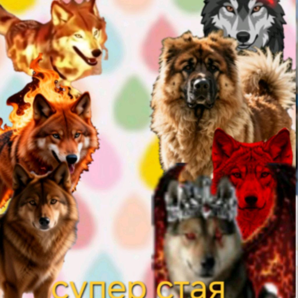 Иконка канала Супер Стая