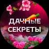 Иконка канала Дачные секреты