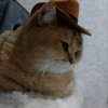 Иконка канала Андрей Кузьмин
