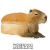 Иконка канала ★Капибара -милаха★