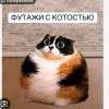 Иконка канала Dodge VS Audi