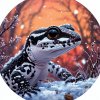 Иконка канала sarasTV