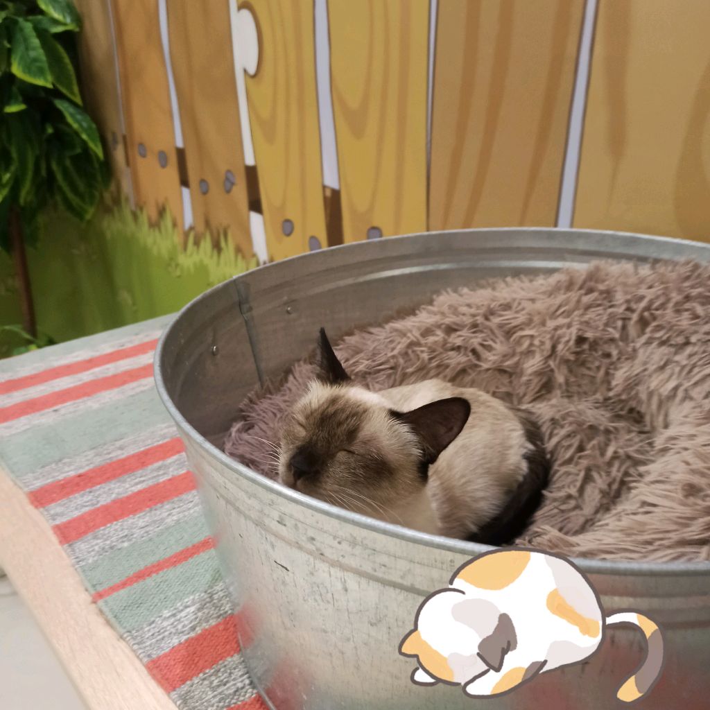 Иконка канала GavchikCat_Drokonchik