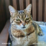 Иконка канала ГалаВлад-Мир вокруг