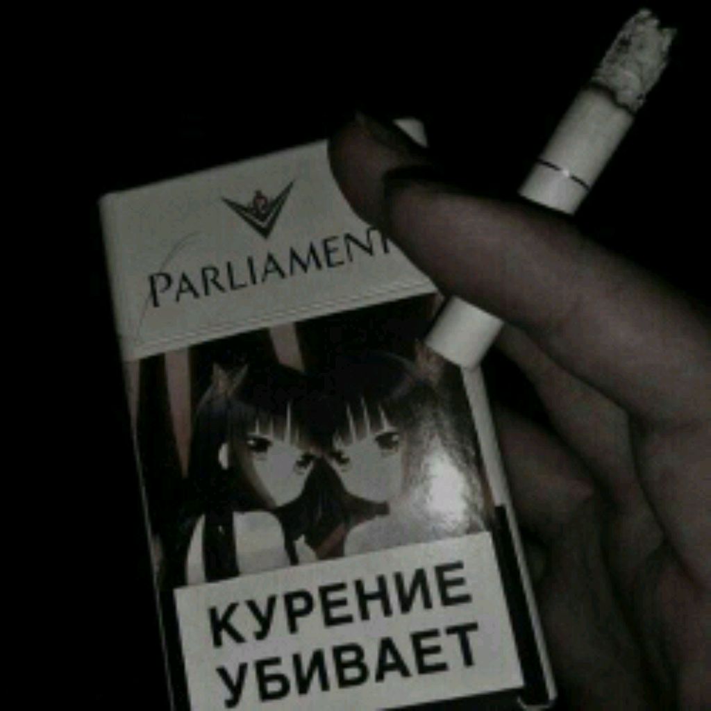 Иконка канала SENYA