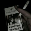 Иконка канала SENYA