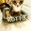 Иконка канала Фил