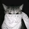 Иконка канала Klan$y