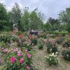 Иконка канала ,,افغان موزیک