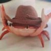 Иконка канала crabik