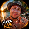 Иконка канала Novikov Live