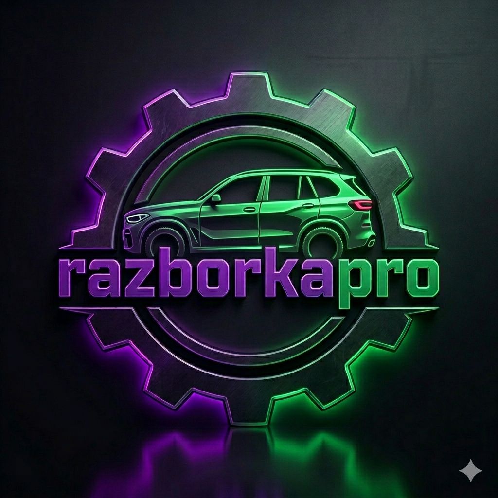 Иконка канала razborkapro.ru