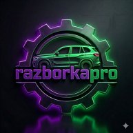 Иконка канала razborkapro.ru