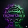 Иконка канала razborkapro.ru