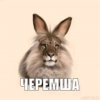 Иконка канала Черемша Live
