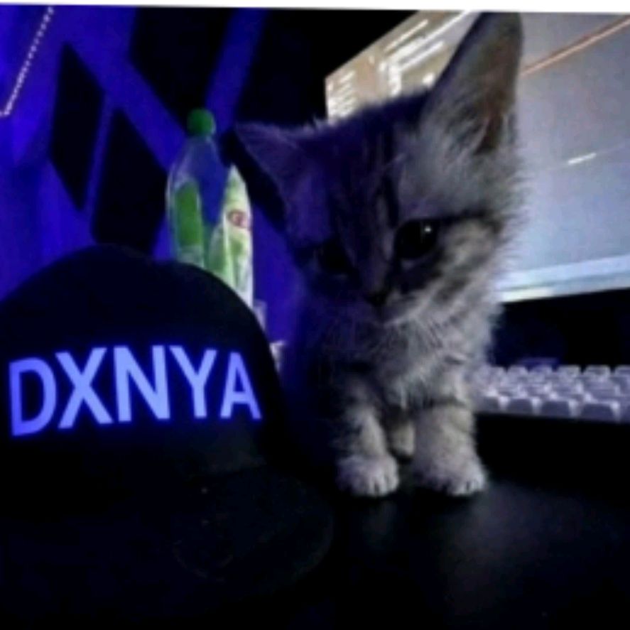 Иконка канала dxnn™