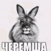 Иконка канала 🎮BŘĂŦĨШĶĂ🎮ĞĂMĔ🎮