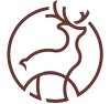 Иконка канала nordic.city