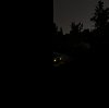 Иконка канала my summer car player