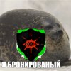 Иконка канала NERPINARIUM...[🍆👍] (автор вышел из реста) окааак