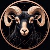 Иконка канала RAMCOIN Official RU