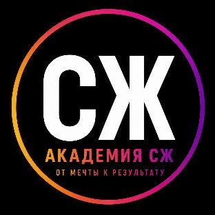 Иконка канала Академия СЖ | 13 Алмазов