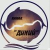 Иконка канала Дикий
