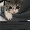 Иконка канала (;\-Ксюша-/;)