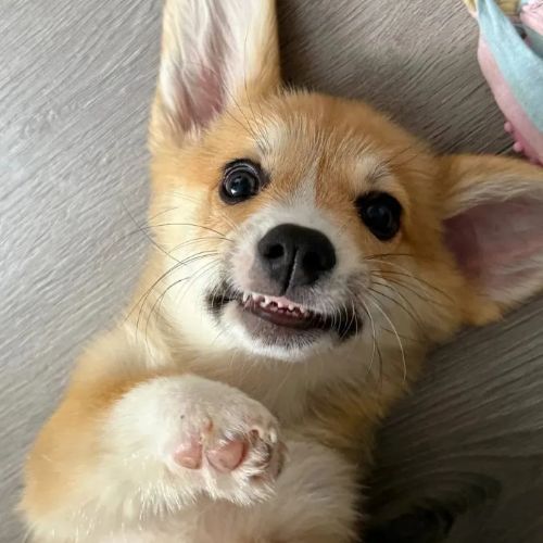 Иконка канала 💞Аня  Blog / просто о жизни