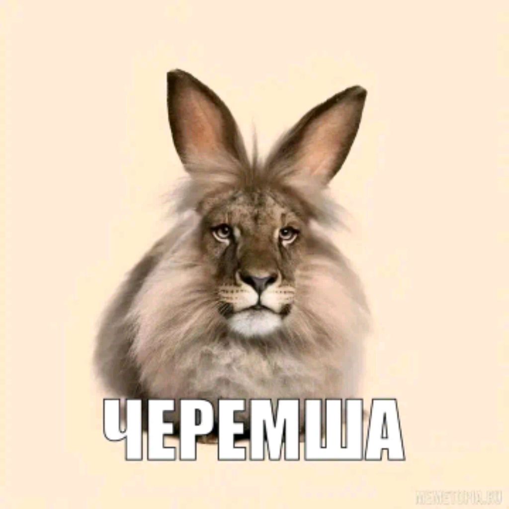 Иконка канала 🫪🫪~Варя~🫪🫪